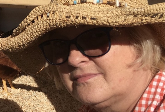 Lise Ravary annonce qu'elle prend une pause de Twitter et pense que ça ...