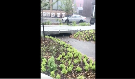 Valérie Plante et son parc éponge en action! - La Clique du Plateau