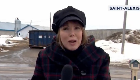 La journaliste de TVA qui invente des mots! - La Clique du Plateau