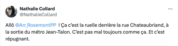 Nathalie Collard sur une ruelle de Montréal! - La Clique du Plateau