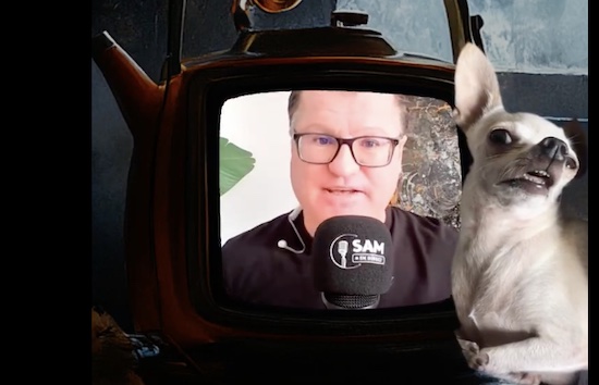 Sam Grenier nous avertit que sa soirée électorale sera ordinaire! - La ...